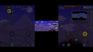 1000019921.mp4