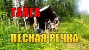 Рыбалка на лесной речке.