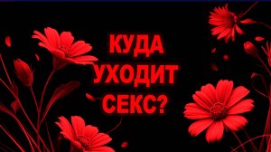 От «давай быстрее» до «давай никогда» — куда уходит желание в браке