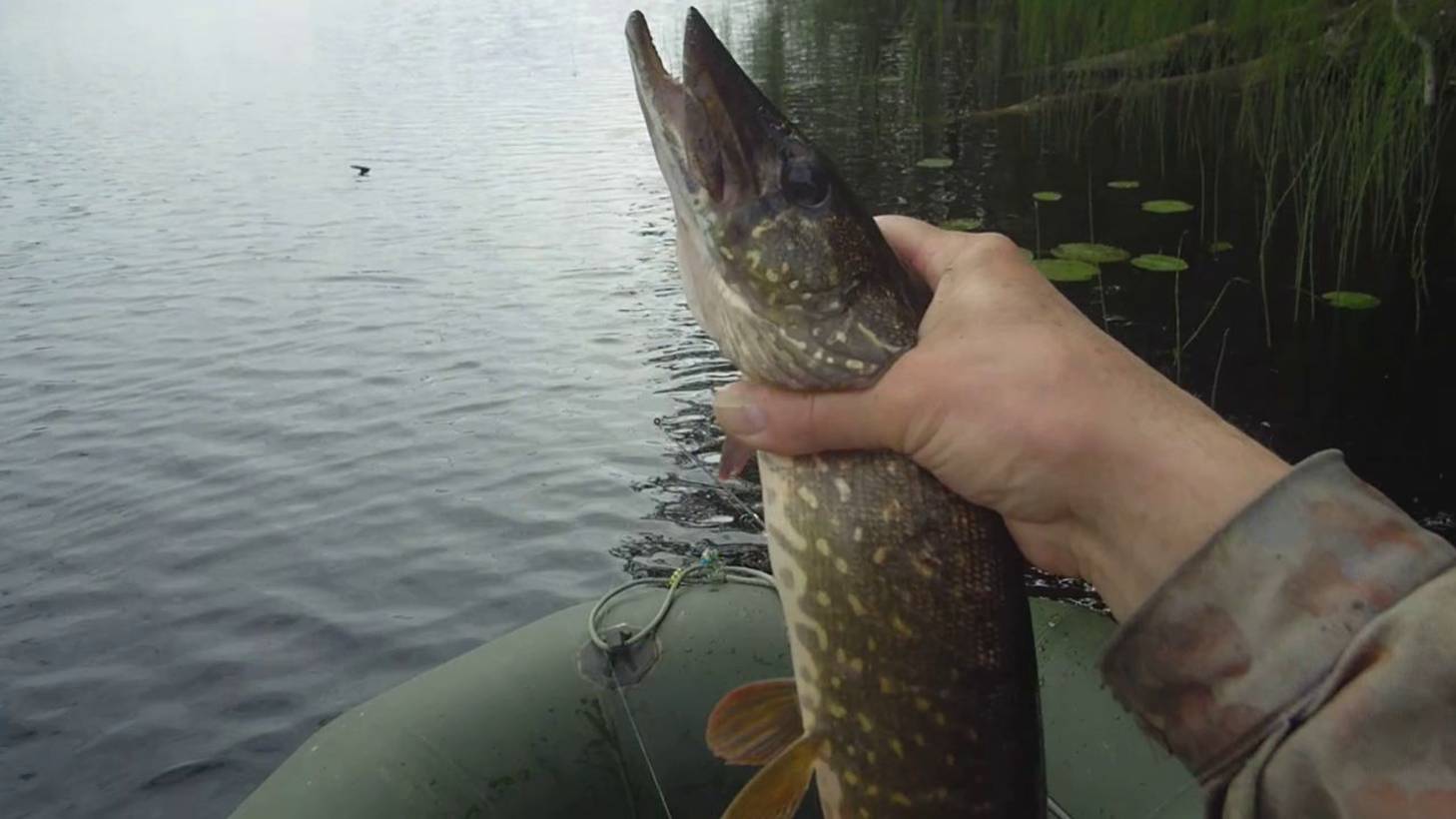 За щукой на дальнее озеро.