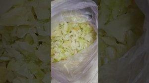 Щи... их действительно просто готовить