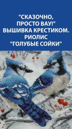 Вышивка крестиком  Голубые сойки от "Риолис" — смотрится волшебно!  Чудо своими руками!