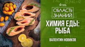 Как правильно хранить и готовить рыбу? Лекция химика Валентина Новикова