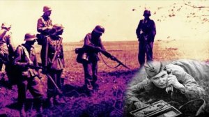 Немцы наверху загалдели, раздались крики Рус, сдавайся!, Рус, капут! О подвиге радиста Е  В  Тягушев