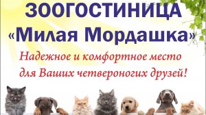 Зоогостиница "Милая Мордашка" в г. Сосновый Бор Ленинградской области