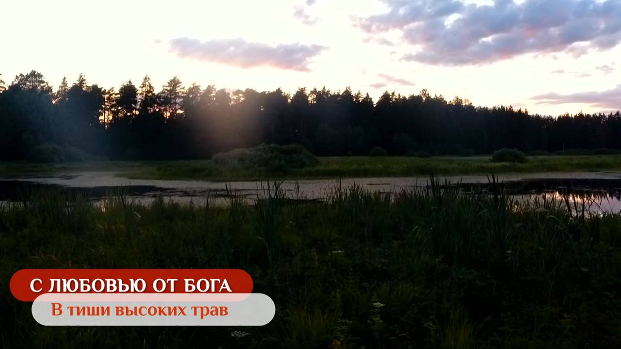 В тиши высоких трав | С любовью от Бога