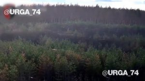 Кадры из Серебрянского лесничества, окутанного оптоволокном