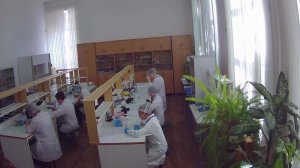 Демонстрационный экзамен ЛХА