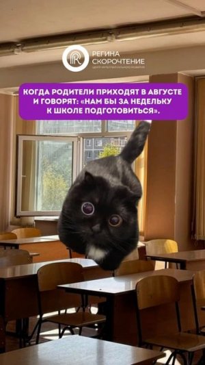 Возьмёте таких учеников к себе на занятия? 🙈
