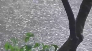 Дождь и солнце. Музыка Сергея Чекалина. Rain and sun. Music by Sergei Chekalin