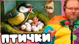 T2x2 СМОТРИТ У НАС РОДИЛИСЬ ПТИЧКИ, НО МАТЬ ВЫНЕСЛА СВОЕГО ПТЕНЦА ИЗ ГНЕЗДА ► ПТИЧКИ