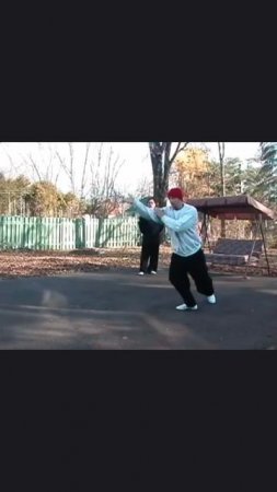 Хай Ян. Форма петуха Син И