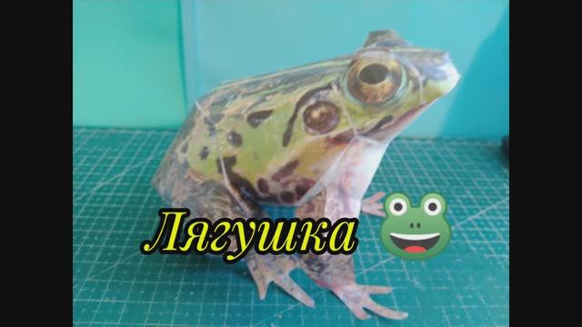 ЛяГуШка 🐸 из бумаги своими руками.