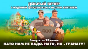 НАТО нам не надо. НАТО, на - гранату! ДОБРЫЙ ВЕЧЕР с ФРИДРИХСОН и ВИТТЕЛЕМ | 25.06.2025