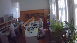Демонстрационный экзамен ЛХА