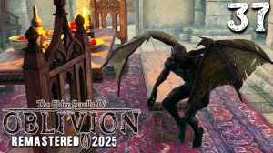ПЕРВЫЕ ШАГИ В ГИЛЬДИИ МАГОВ (37) ► The Elder Scrolls IV Oblivion Remastered
