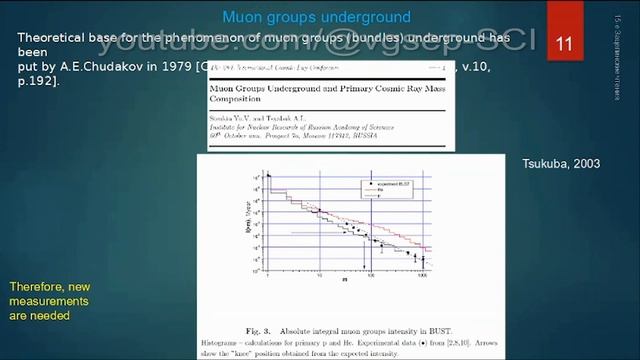 Мюоны в широких атмосферных ливнях
