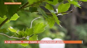 А за окном. 25 июня 2025