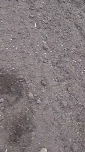 Облом на поле. #видео #metaldetecting #находкисметаллоискателем #история #облом