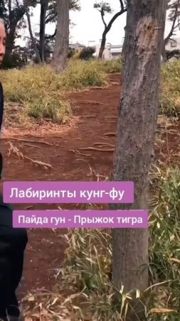 Лабиринты кунг-фу Прыжок тигра