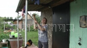 Второй год жители Володарска переживают аномальное нашествие мух