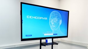 Устройство для тренировки перцептивно-координационных способностей адаптационное «Сенсория–65»