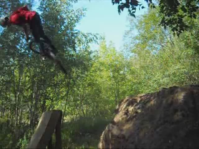 бор 2012