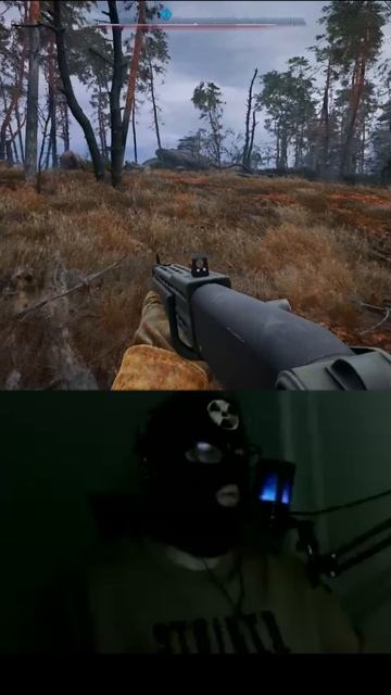 Неожиданно КАБАНЫ #stalker2