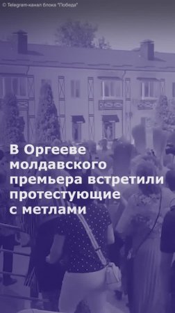 В Оргееве молдавского премьера встретили протестующие с метлами