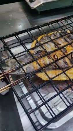 Печь-гриль статическая для приготовления рыбы Kocateq EPC 2 FISH