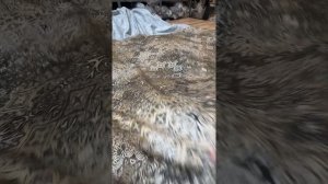 Печатный рисунок с люрексовой нитью. Ткани из каталога 20-K-5300