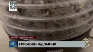 Себе и на продажу: за домашнюю ферму галлюциногенных грибов начинают судить 21-летнего хабаровчанина