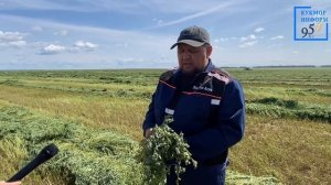 В «Восток-Агро» завершается закладка сенажа из первого укоса многолетних трав