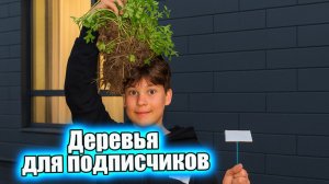 САДИМ ДЕРЕВЬЯ в честь ПОДПИСЧИКОВ