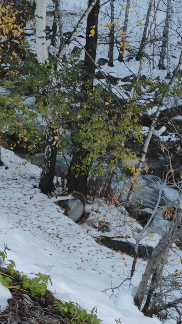 В горы из Алматы (вертикальное)