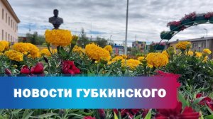 Озеленение