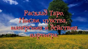 Расклад Таро. Мысли, чувства, намерения и действия партнера.