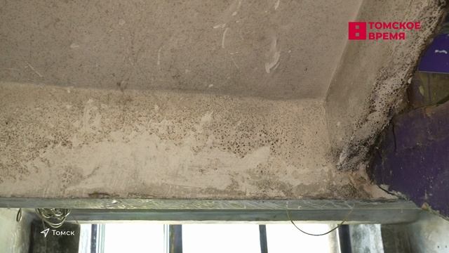 Жильцов дома на Лазо подтопляют осадки