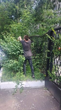 Подстригаем кусты и маленькие деревья
