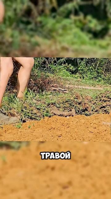 Лиза копает яму?