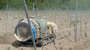 Робот - опрыскиватель в Абрау -Дюрсо