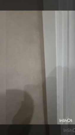 video5192674581088856217