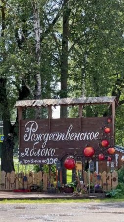 Рождественское Яблоко