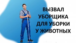 ВЫЗВАЛ УБОРЩИКА, ЧТОБЫ ОН УБРАЛ КОМНАТУ ДЛЯ ЖИВОТНЫХ