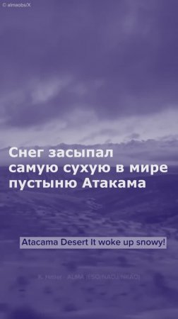 В расположенной в Чили самой сухой пустыне мира выпал снег
