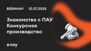 10.07.25, Знакомимся с программой «ПАУ», процедура КП