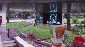 в прокуратуру Москвы Под окном 2025 июнь 22 - 24 нарушения ПДД и САНПИН