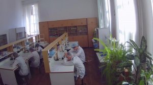 Демонстрационный экзамен ЛХА