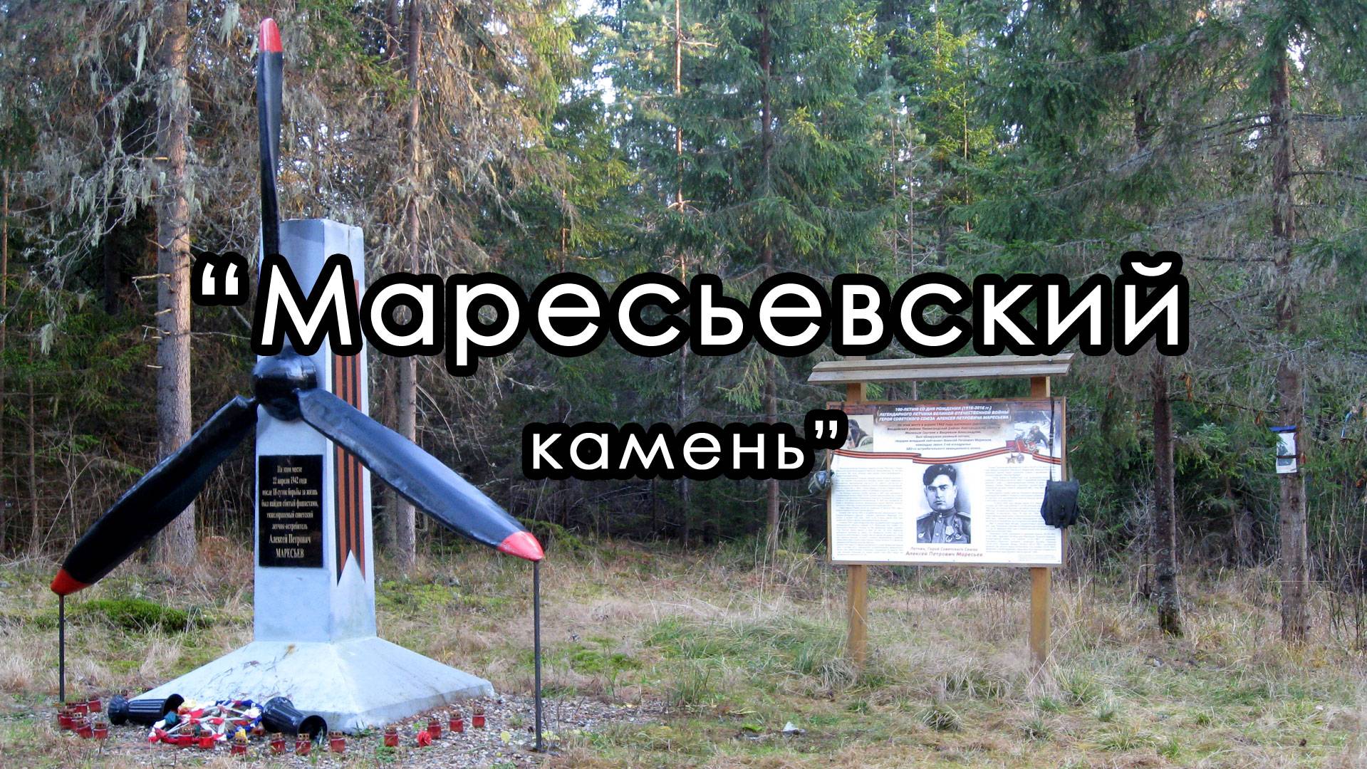 "Маресьевский камень". Деревня Плав, Новгородская область.