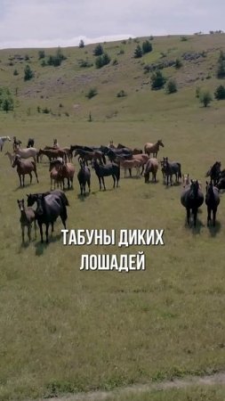 Три секретных места в Крыму, в которые не едут отдыхающие